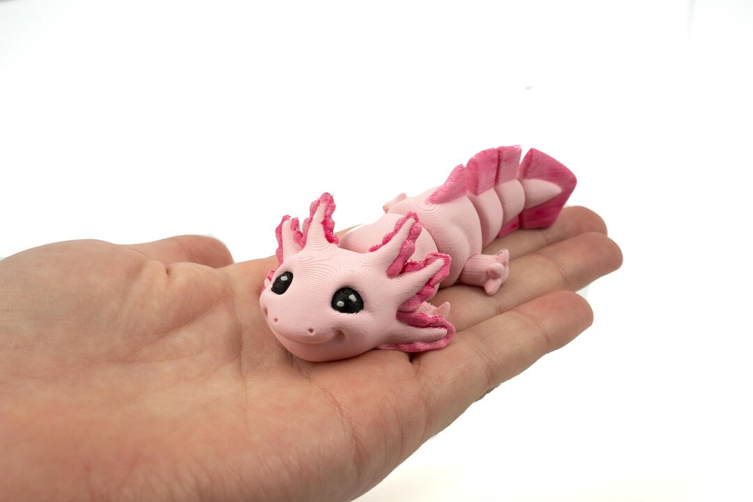 Hand-painted Mini Axolotl Fidget Toy – Realistic Axolotl Toy for Stress ...