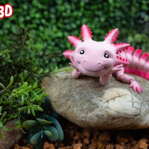 Cute 3d Printed Axolotl Toy, Hand-painted Realistic Axolotl Fidget ...
