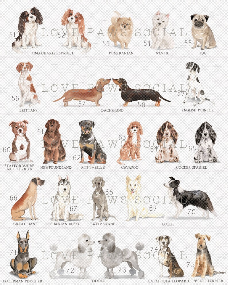 DOG ART PRINTS Boho Dog Art Modern Dog Art Farmhouse Dog - Etsy