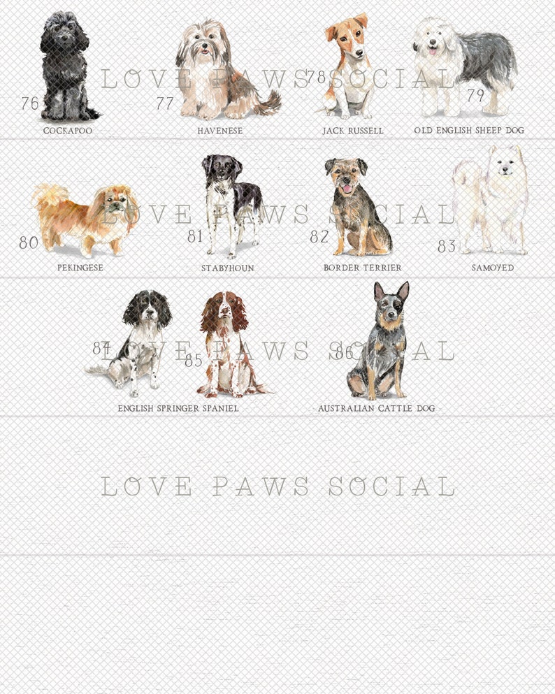 DOG ART PRINTS Boho Dog Art Modern Dog Art Farmhouse Dog - Etsy