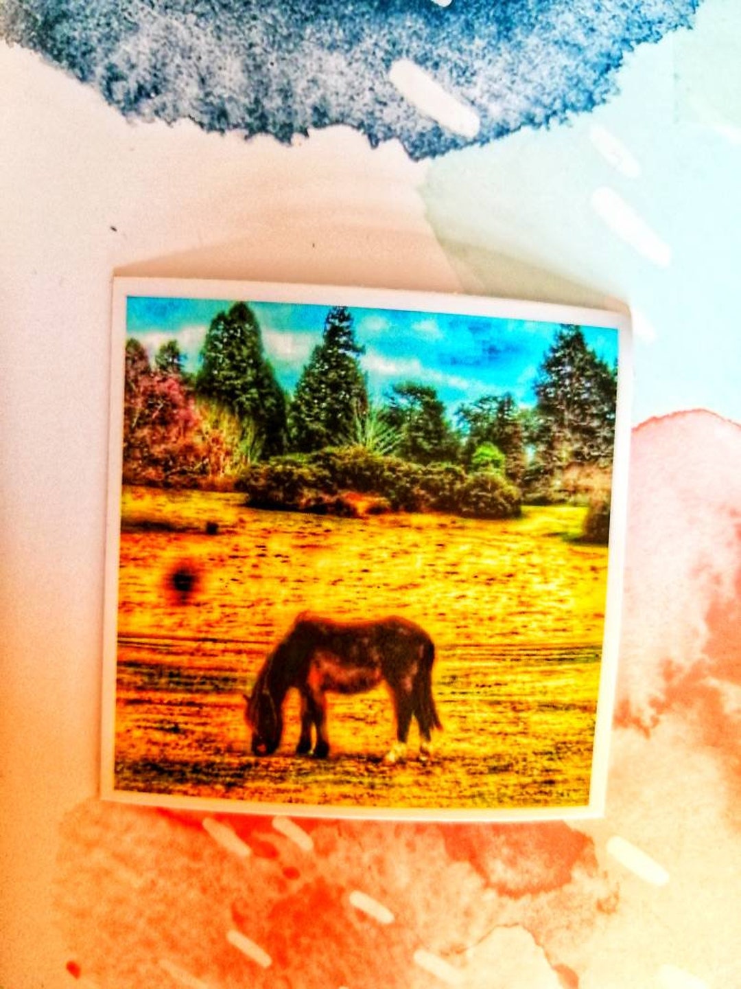 New Forest Pony Photo Fridge Magnet - Etsy