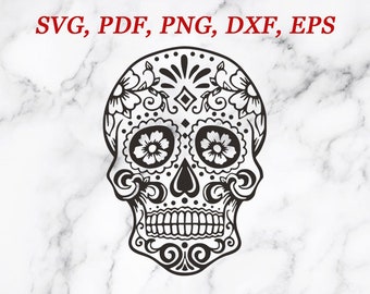 Radiology Skull Svg - Etsy