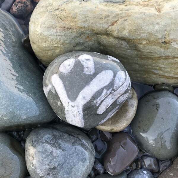 Rock Paperweight - Etsy