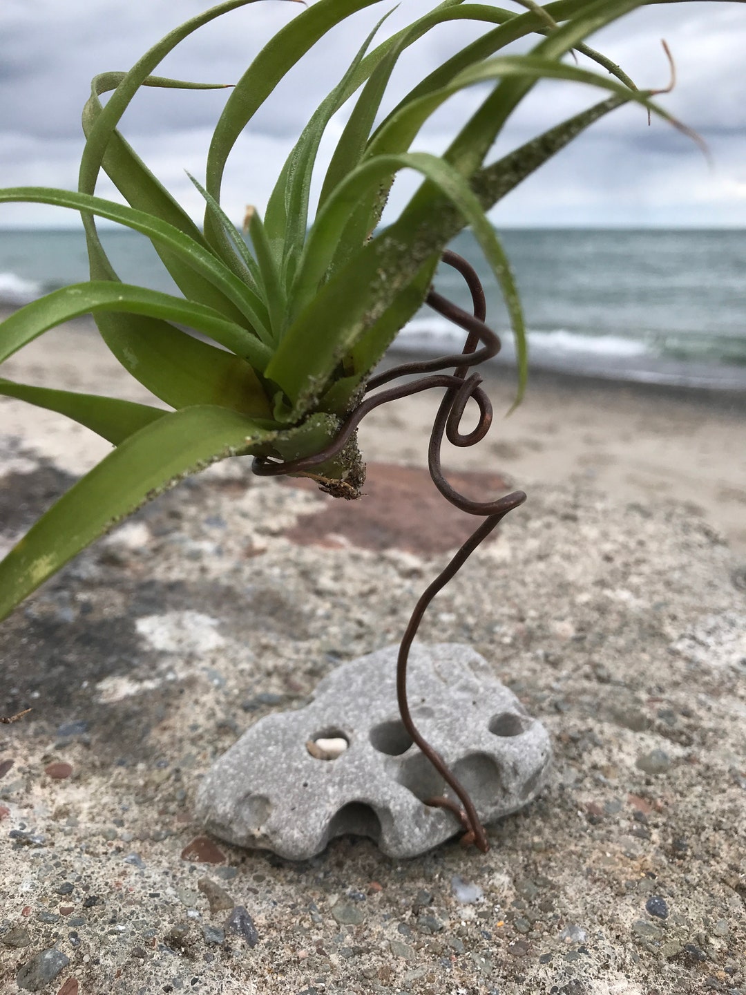 Set of Two Air Plant Wire Holders - Etsy