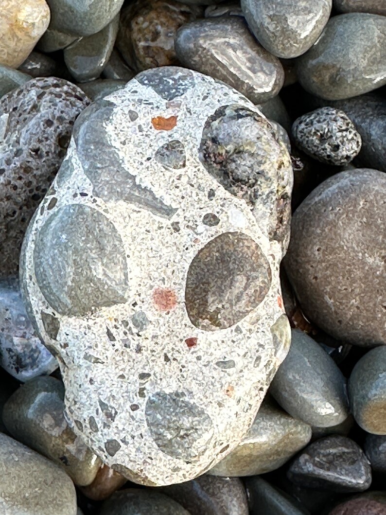 Beach Find Cement Rock Face - Etsy