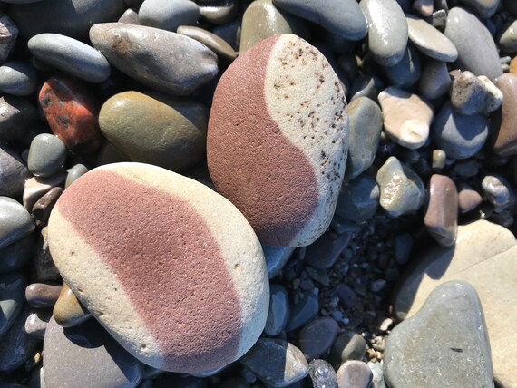 Sandstone Rock Lake Ontario Beach Find - Etsy