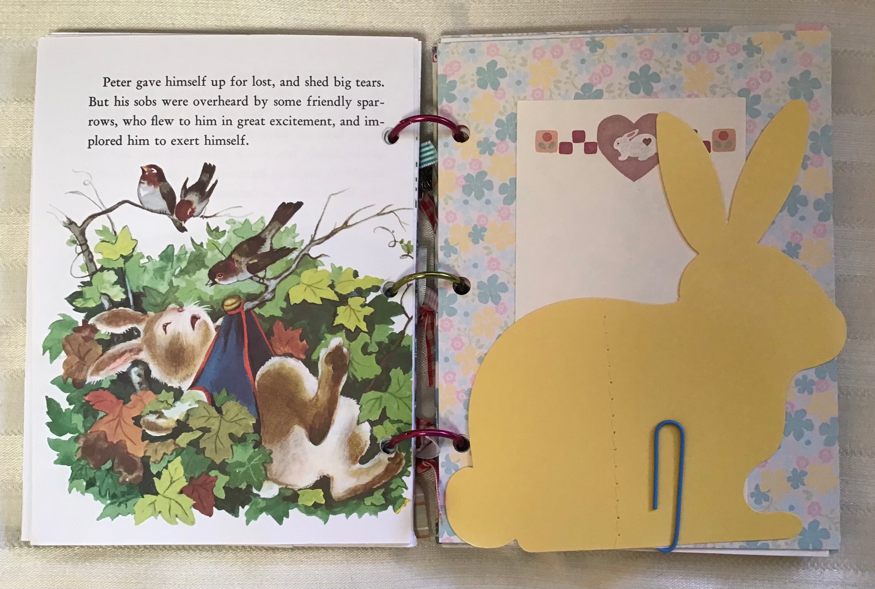 Journal Peter Rabbit Little Golden Book - Etsy