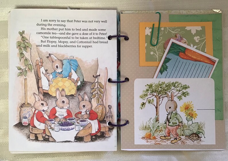 Journal Peter Rabbit Little Golden Book - Etsy