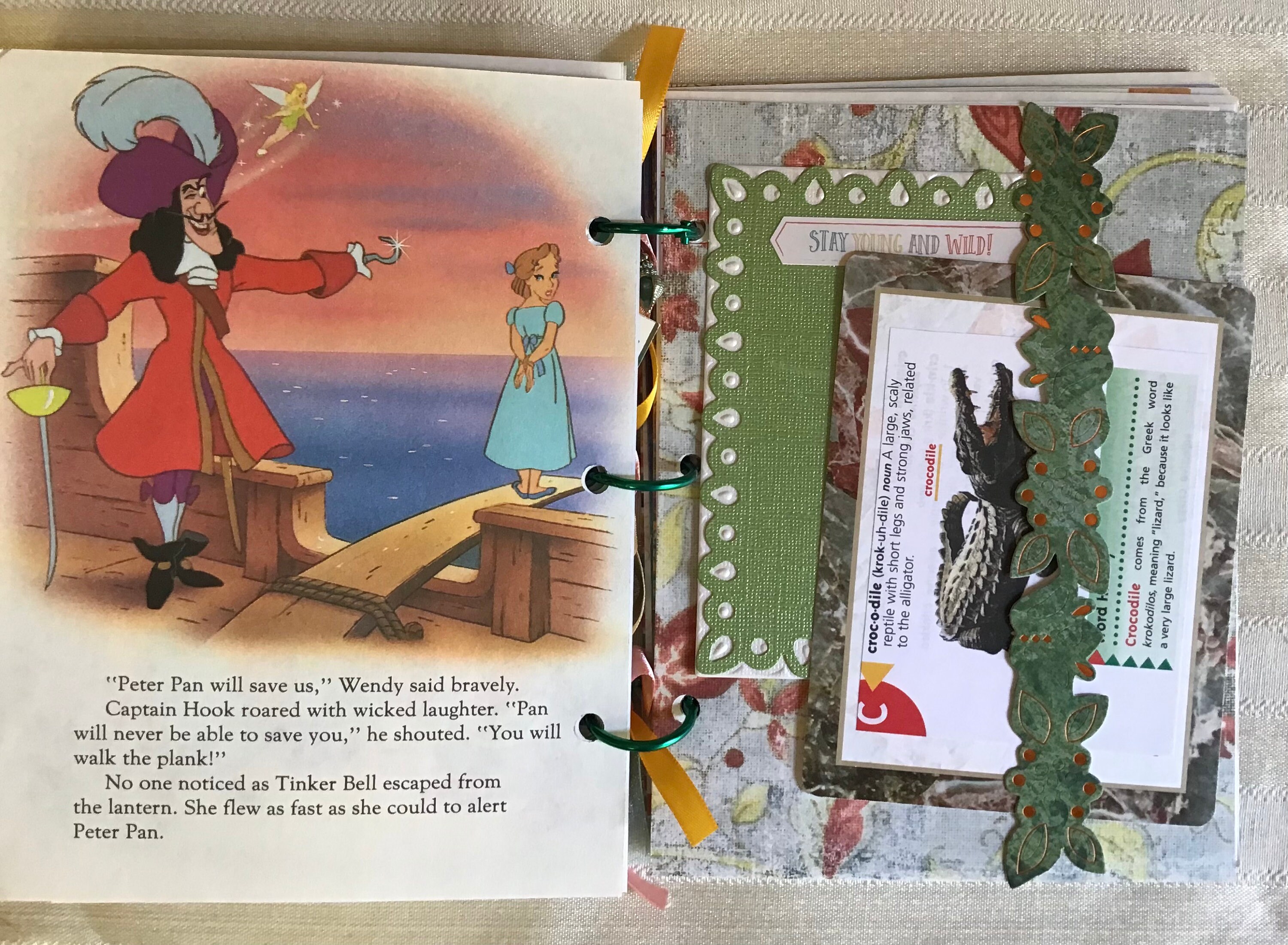 Journal Peter Pan | Etsy