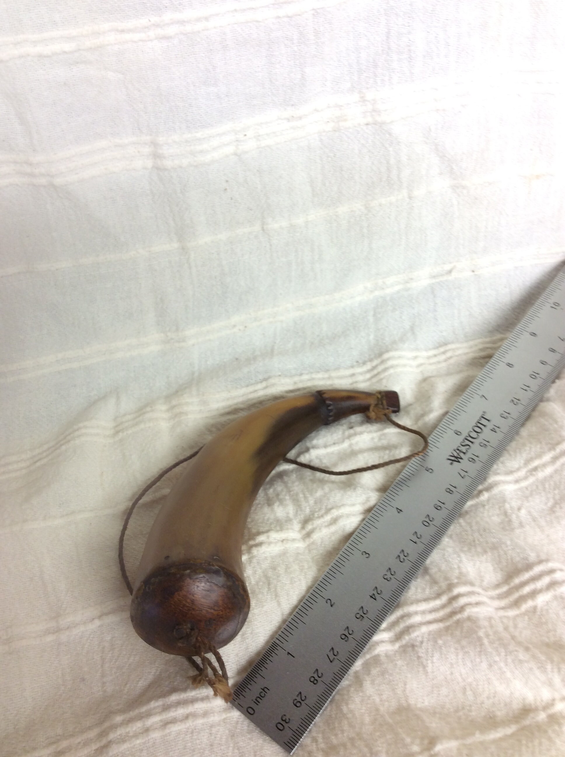 Early New England Primer Horn - Etsy