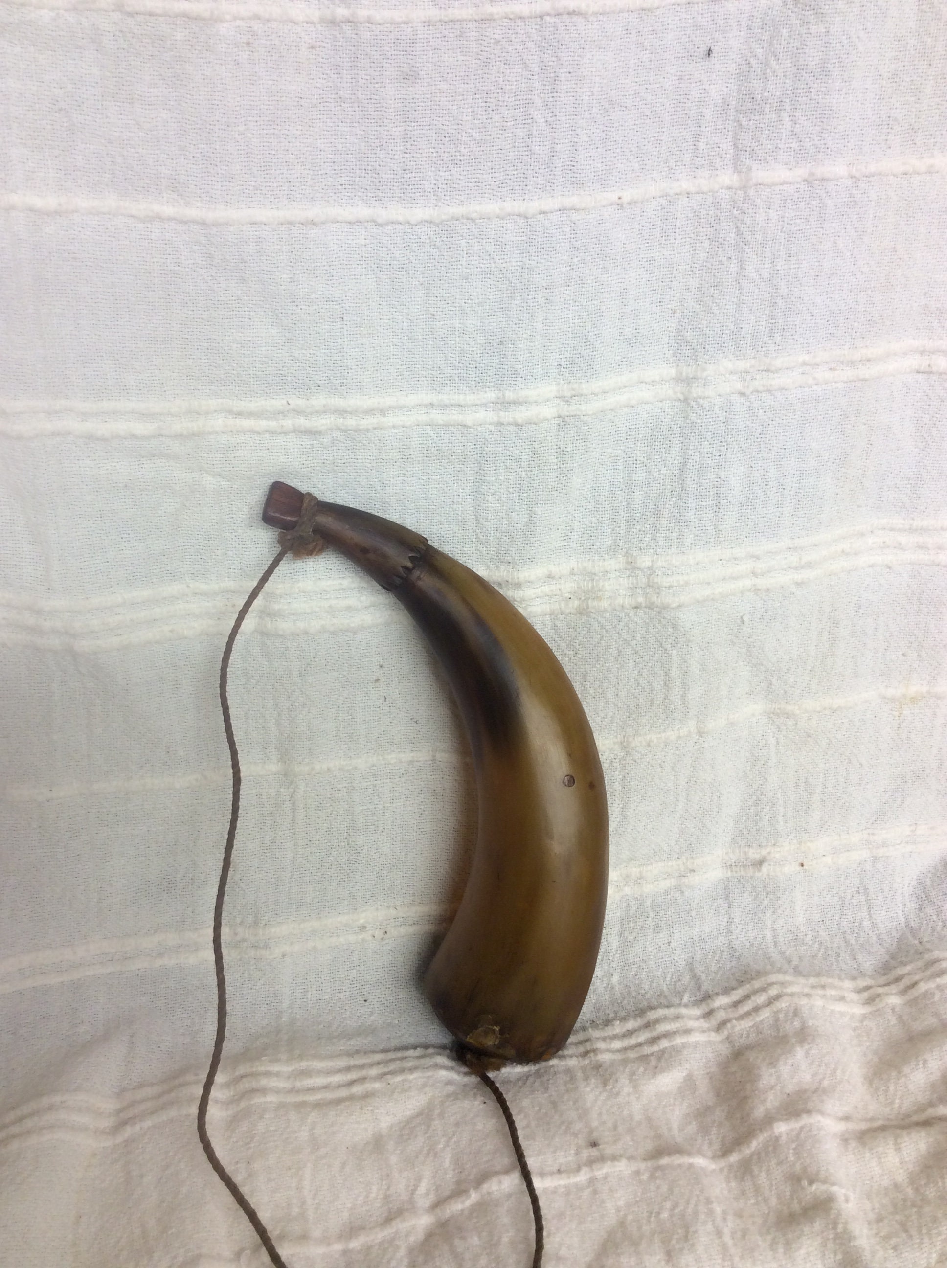 Early New England Primer Horn - Etsy