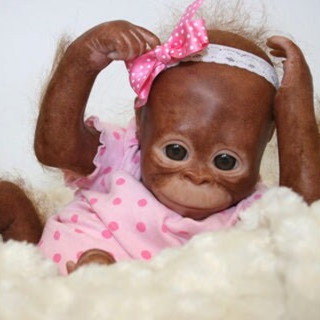 16 Bindi Chimp Gorilla Monkey Awake by Denise Pratt - Etsy