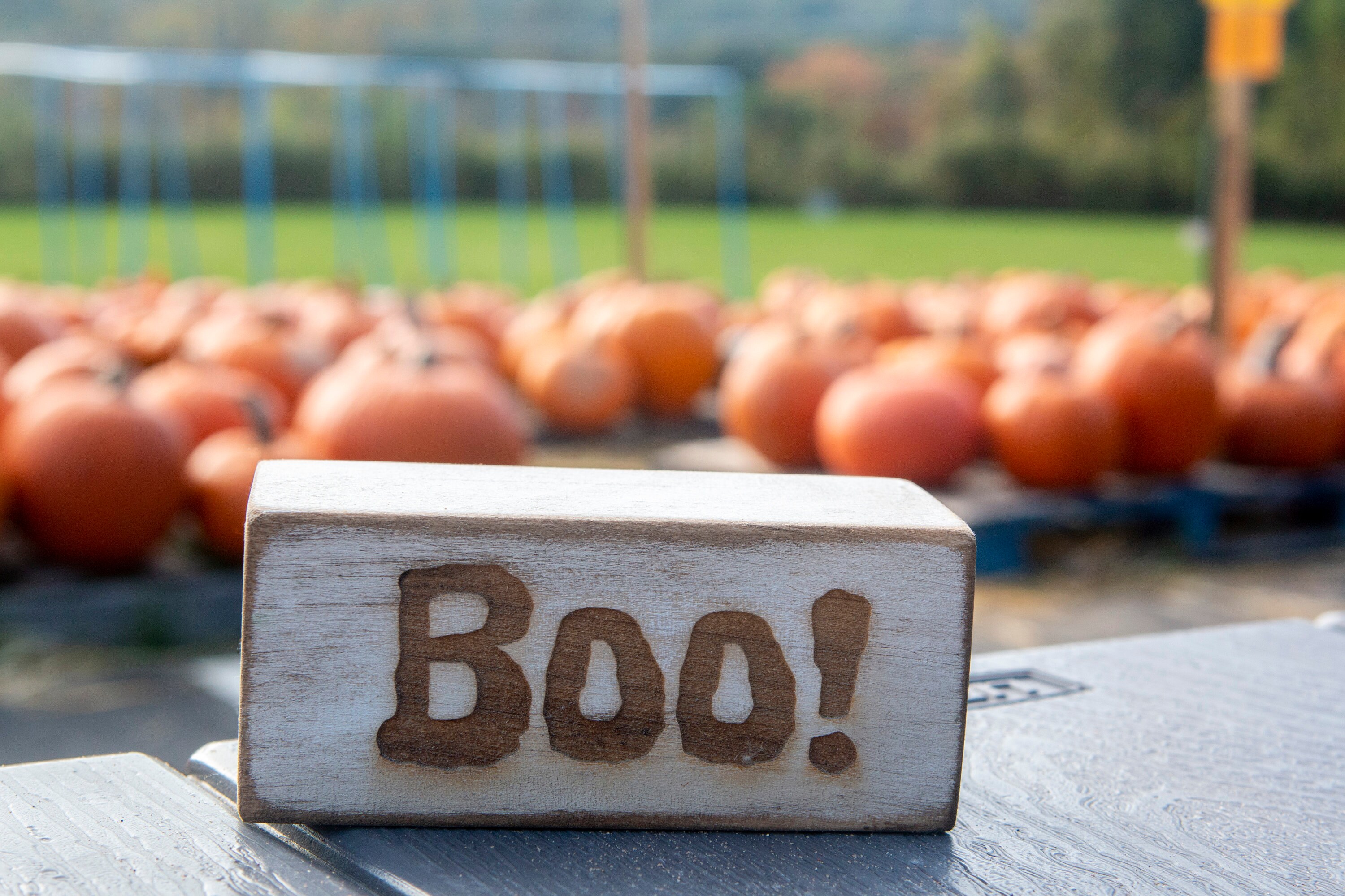 Halloween Word Block - Etsy