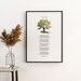 The Oak Tree Poem by Johnny Ray Ryder Jr. Print / Canvas / Framed Print ...