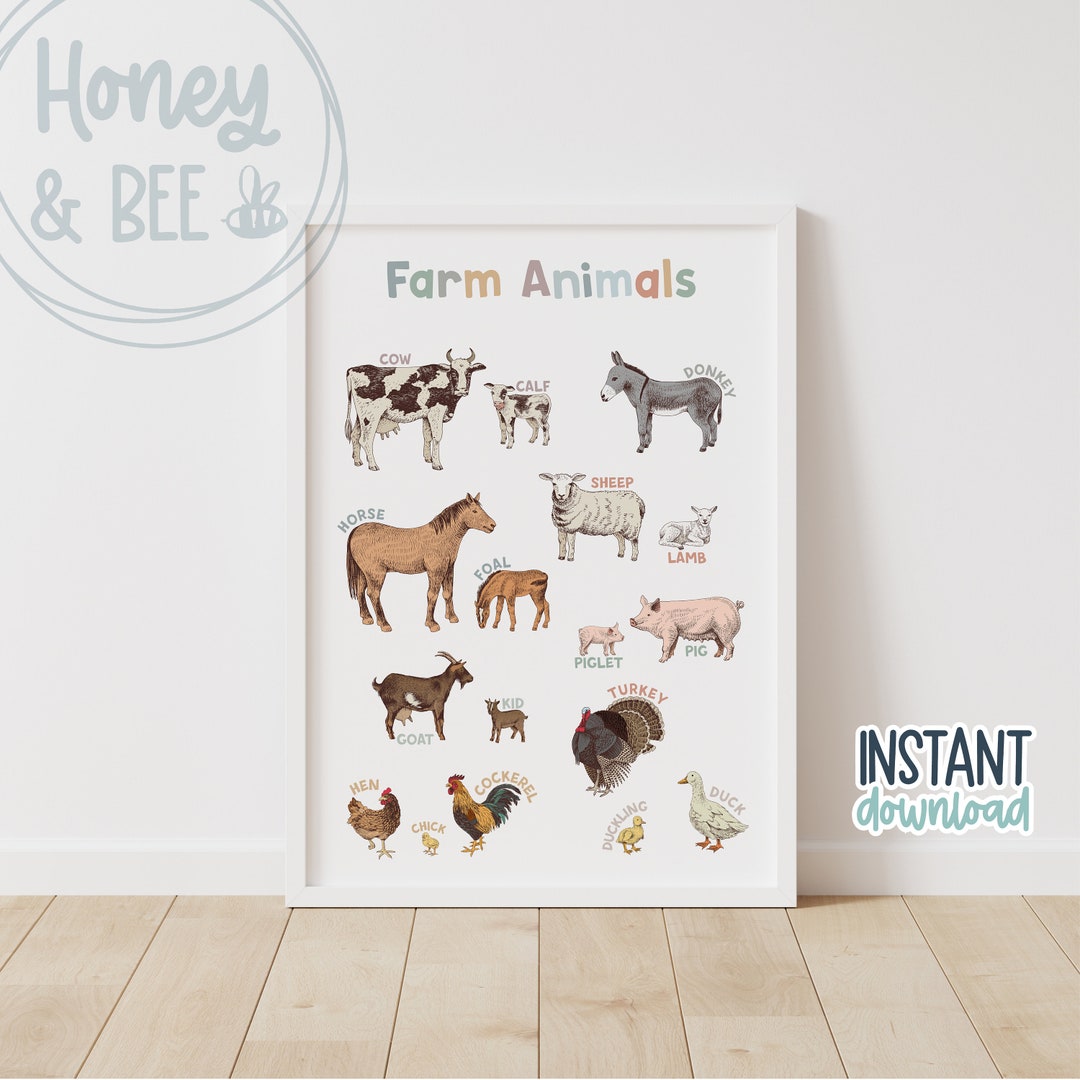 INSTANT DOWNLOAD | Farm Animals, Digital Download, Home School ...