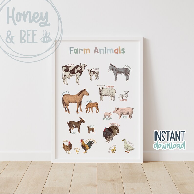 INSTANT DOWNLOAD | Farm Animals, Digital Download, Home School ...