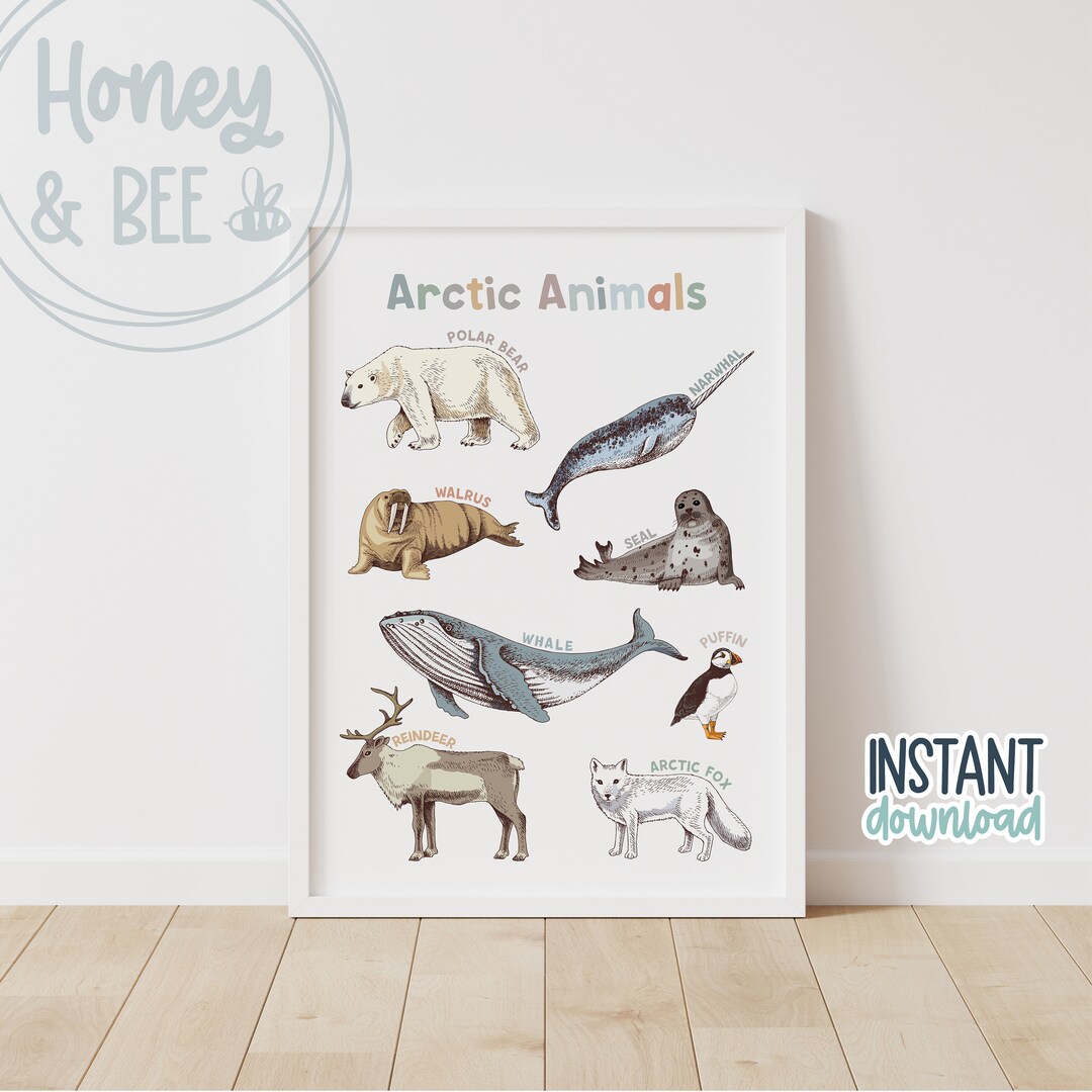 INSTANT DOWNLOAD | Arctic Animals, Digital Download, Home School ...