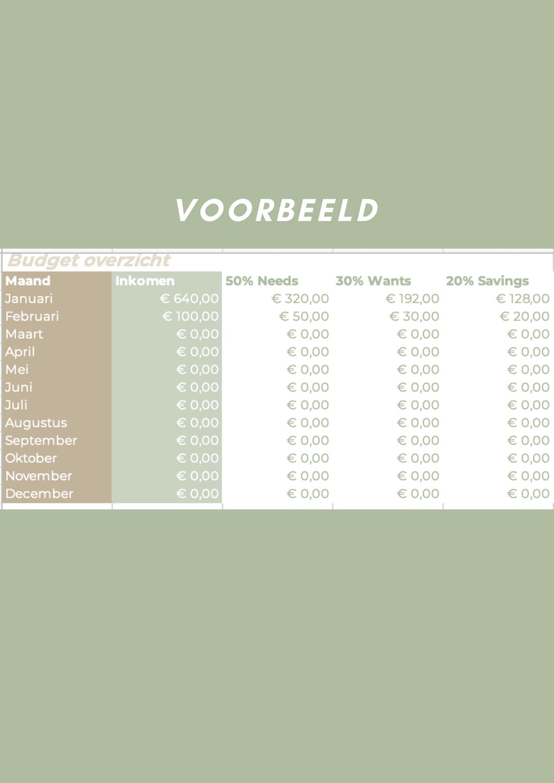 Budget planner - financieel overzicht - Template (Excel) - Etsy Nederland