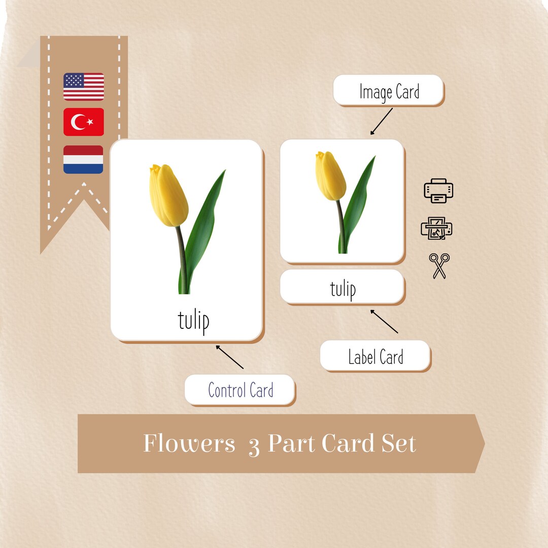 FLOWERS Cards Montessori Nomenclature Flash 3 Parts Educational ...