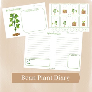 BEAN LIFECYCLE Montessori Cards, With Free Bean Plant Diary, Montessori ...