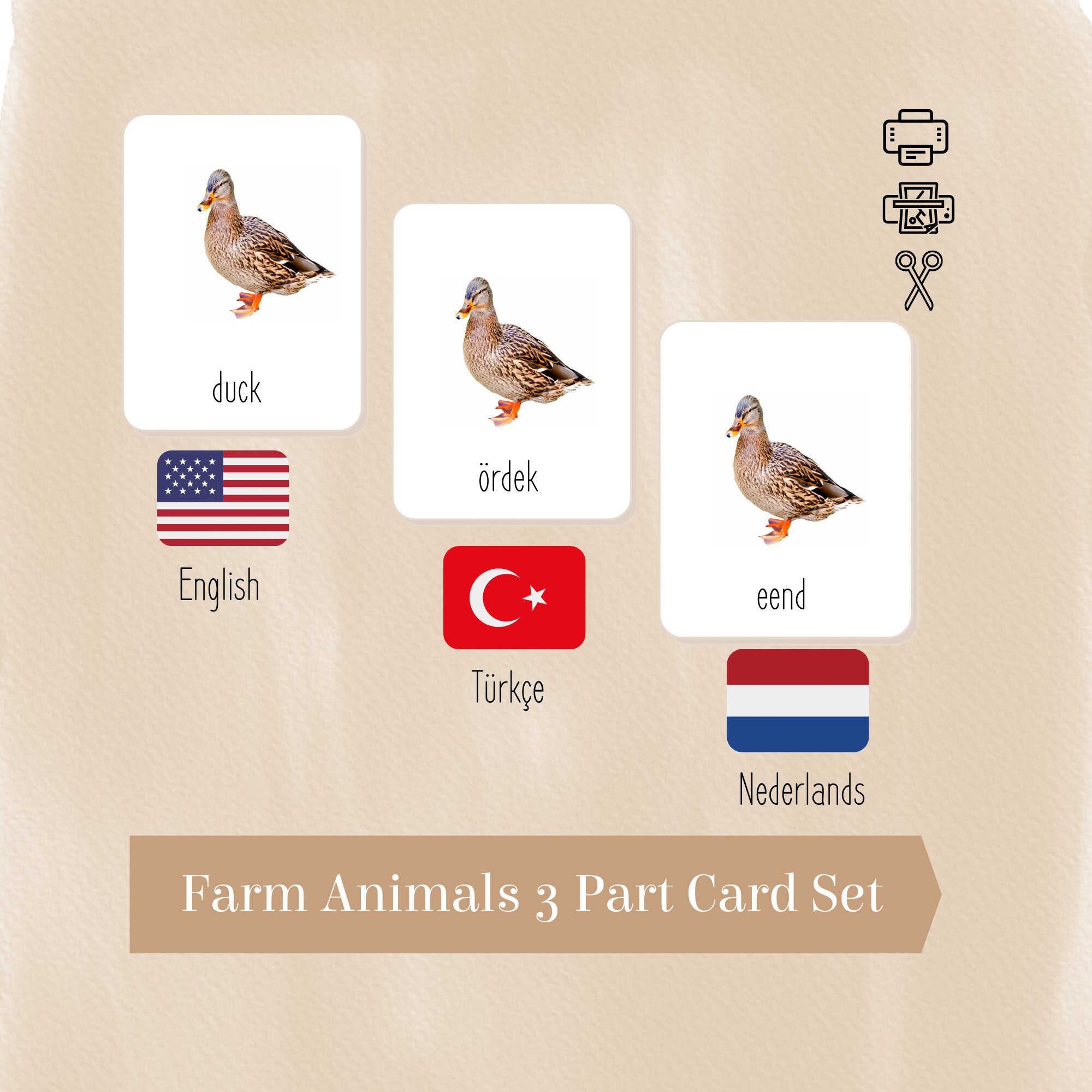 FARM ANIMALS • 10 Montessori Cards • Flash Cards Nomenclature Cards Pdf ...