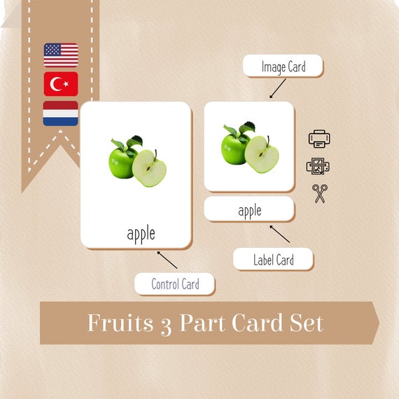 Montessori Fruits Cards Nomenclature Fruits Cards PDF File | Etsy