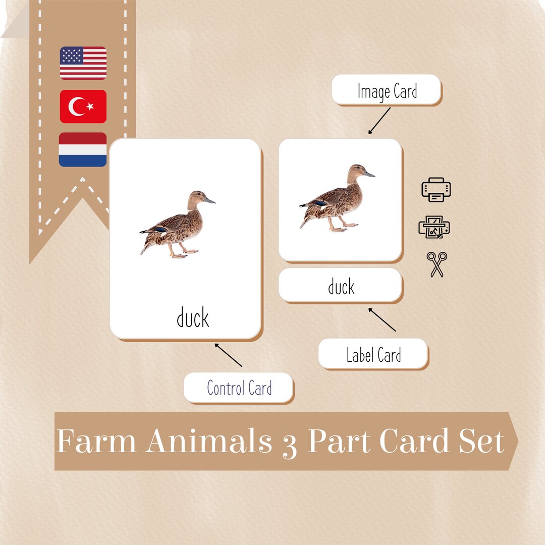 FARM ANIMALS • 10 Montessori Cards • Flash Cards Nomenclature Cards Pdf ...