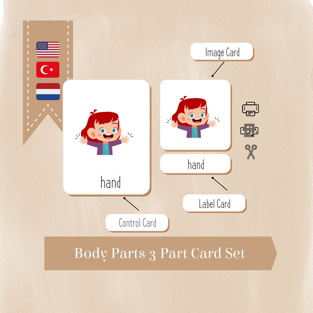 BODY PARTS Cards Montessori Nomenclature Flash 3 Parts Educational ...