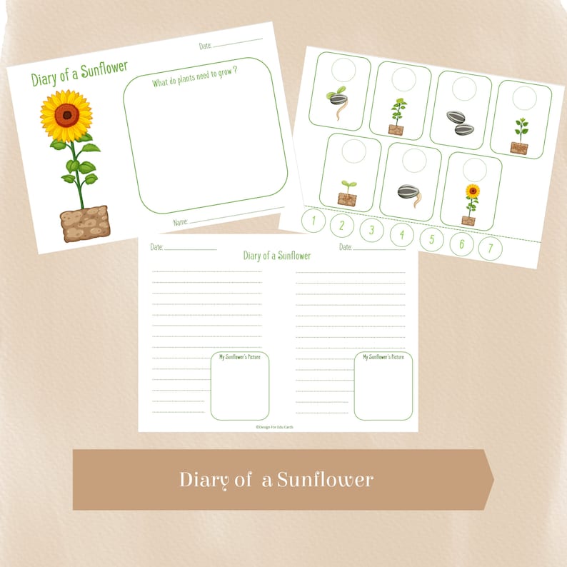 Lifecycle of a Sunflower, Montessori Card Set, Sunflower Nomenclature 3 ...