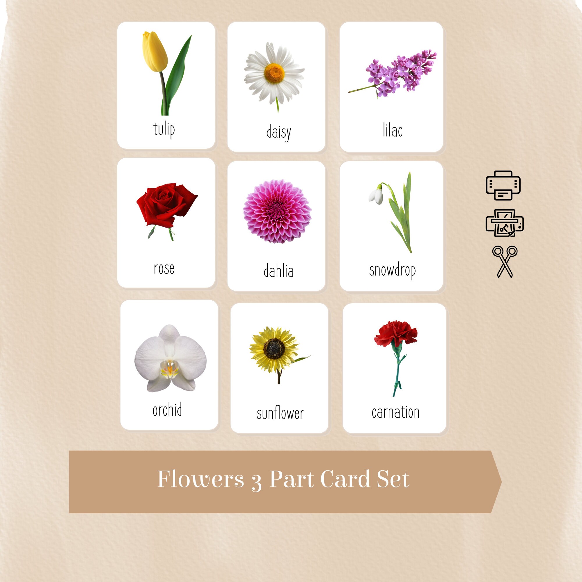 FLOWERS Cards Montessori Nomenclature Flash 3 Parts Educational ...