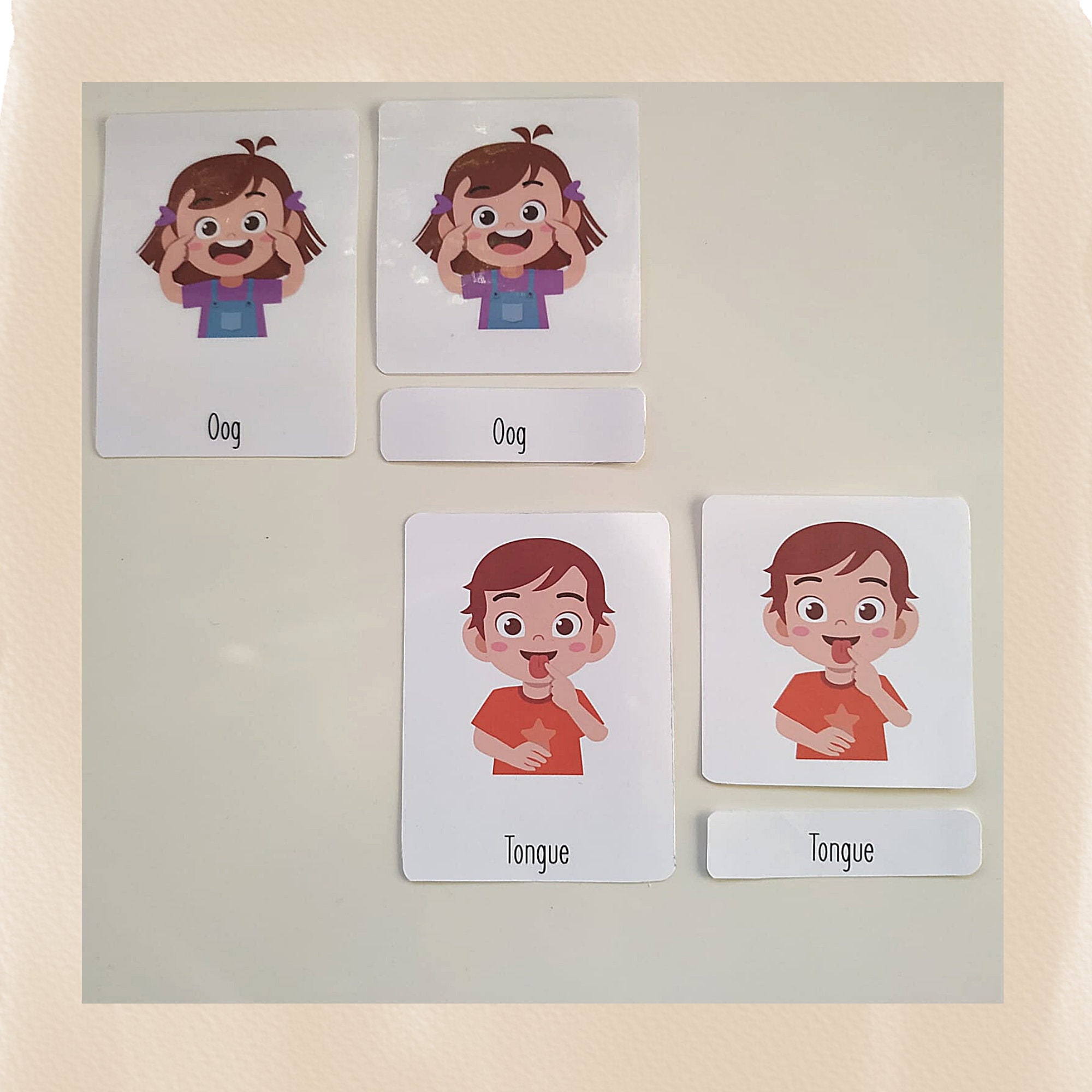 BODY PARTS Cards Montessori Nomenclature Flash 3 Parts Educational ...