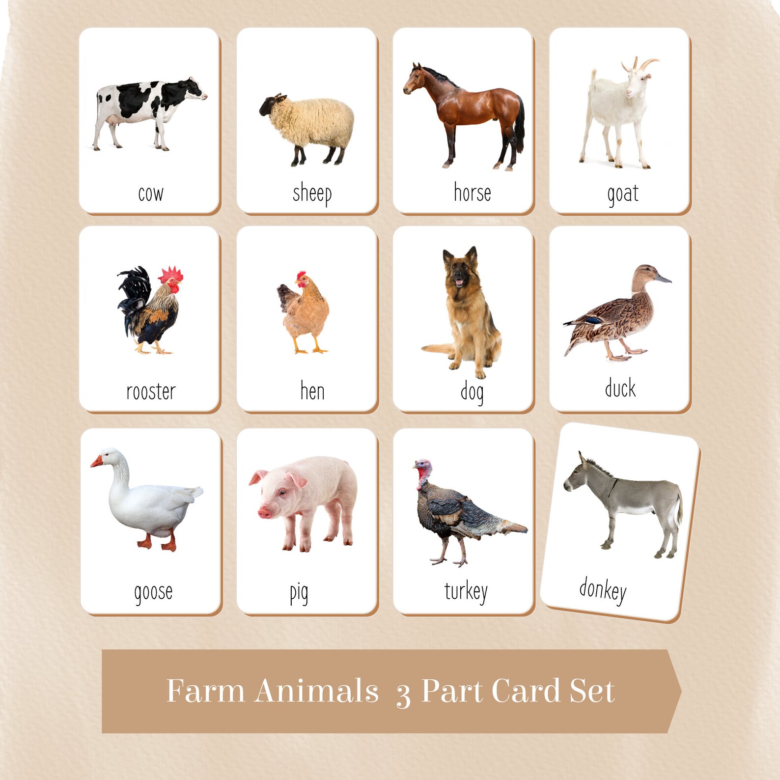 FARM ANIMALS • 10 Montessori Cards • Flash Cards Nomenclature Cards Pdf ...