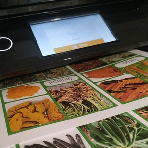 Herbs and Spices Montessori Cards, Nomenclature Flash 3 Parts ...