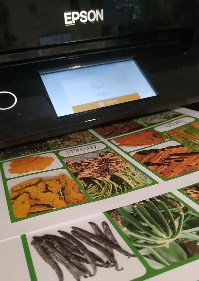 Herbs and Spices Montessori Cards, Nomenclature Flash 3 Parts ...