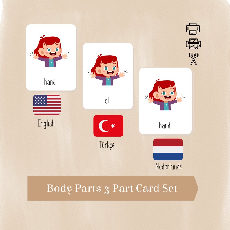 BODY PARTS Cards Montessori Nomenclature Flash 3 Parts Educational ...