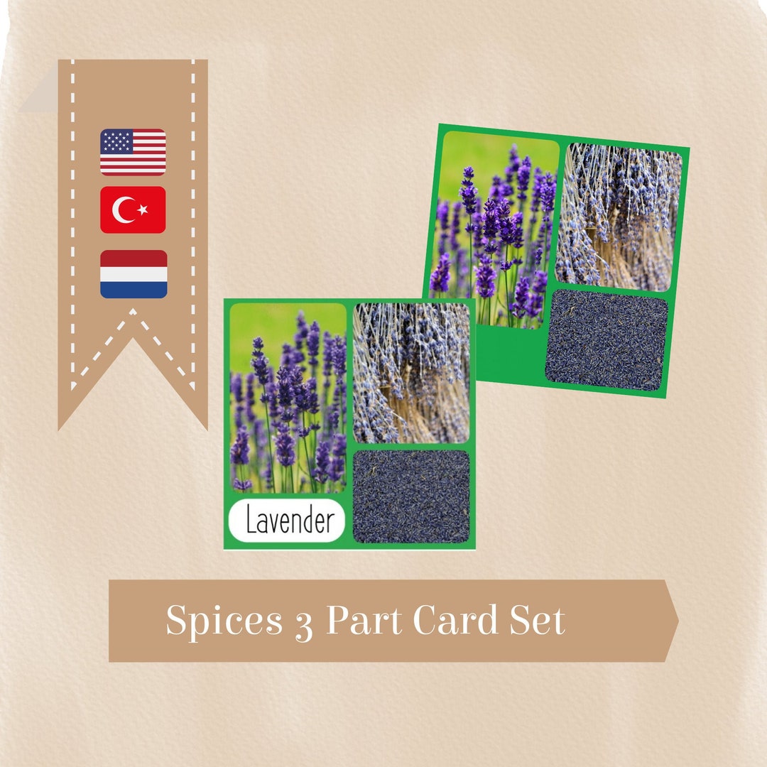 Herbs and Spices Montessori Cards, Nomenclature Flash 3 Parts ...
