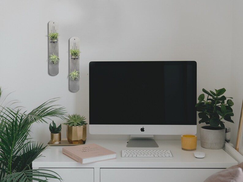 Air Plant Holders, Wall Planter, Tillandsia, Succulents, Plant Hangers, House Plants, Wall Decor ...