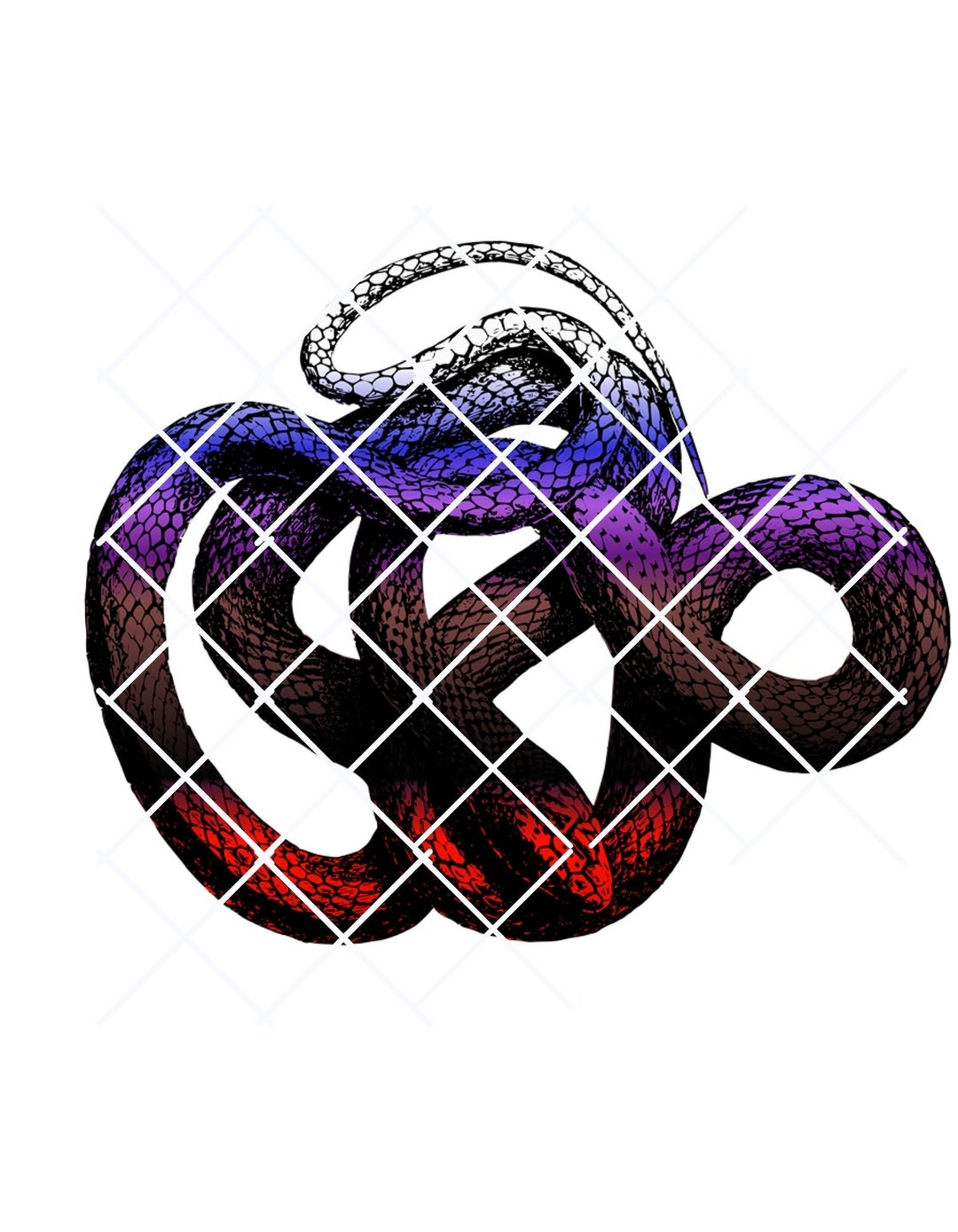 Jiu Jitsu Snake Png, Svg, Jpg - Etsy