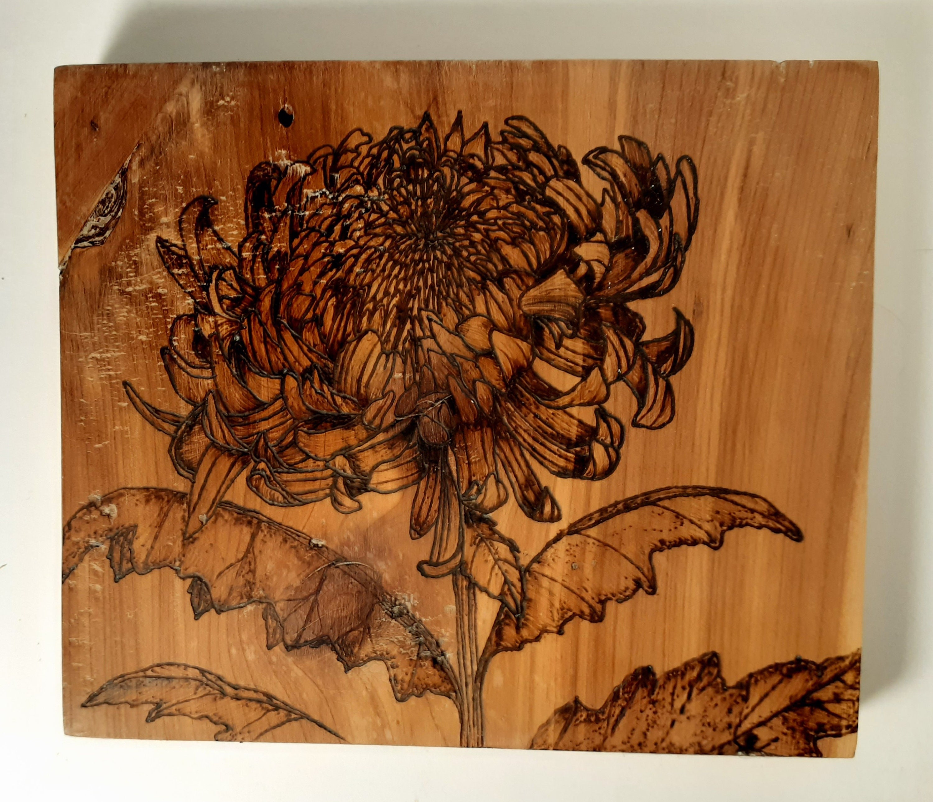 Chrysanthemum | Flower Wood Burn | Pyrography | Handmade | Wood Art ...