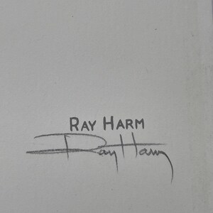 Ray Harm Cooper's Hawk Signed Print 1977 Vintage Bird Art, Bird ...