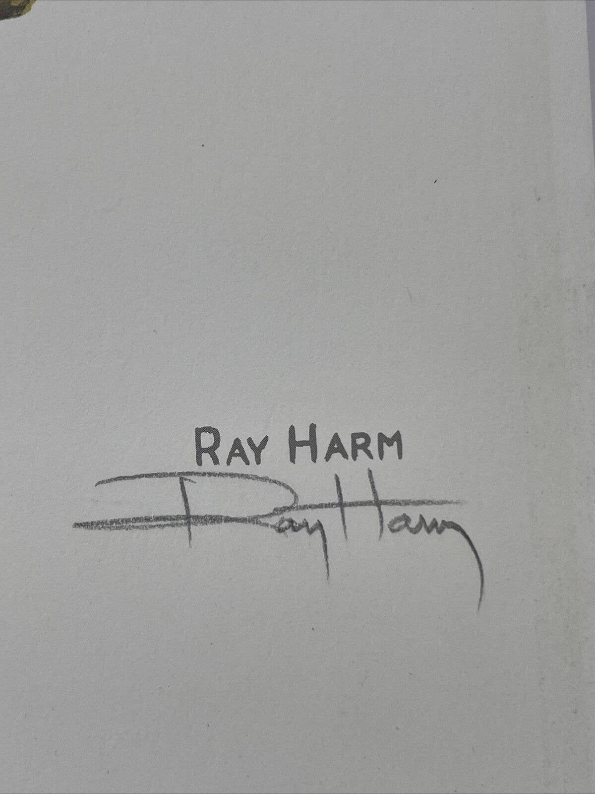 Ray Harm Cooper's Hawk Signed Print 1977 Vintage Bird Art - Etsy