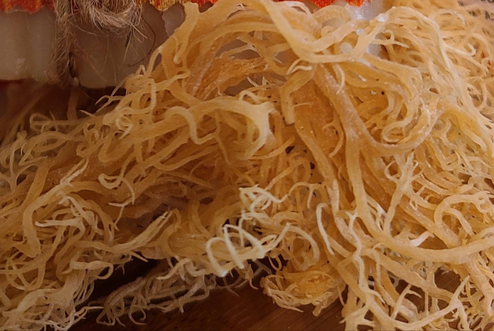 Pure Sea Moss from the Ocean Saint Lucia | Etsy