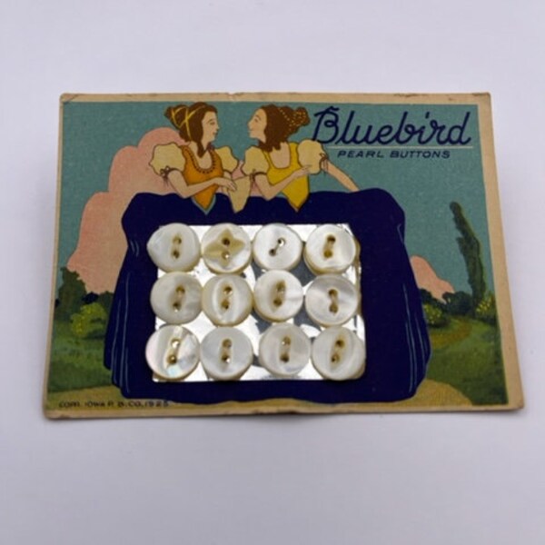 Vintage Bluebird - Etsy