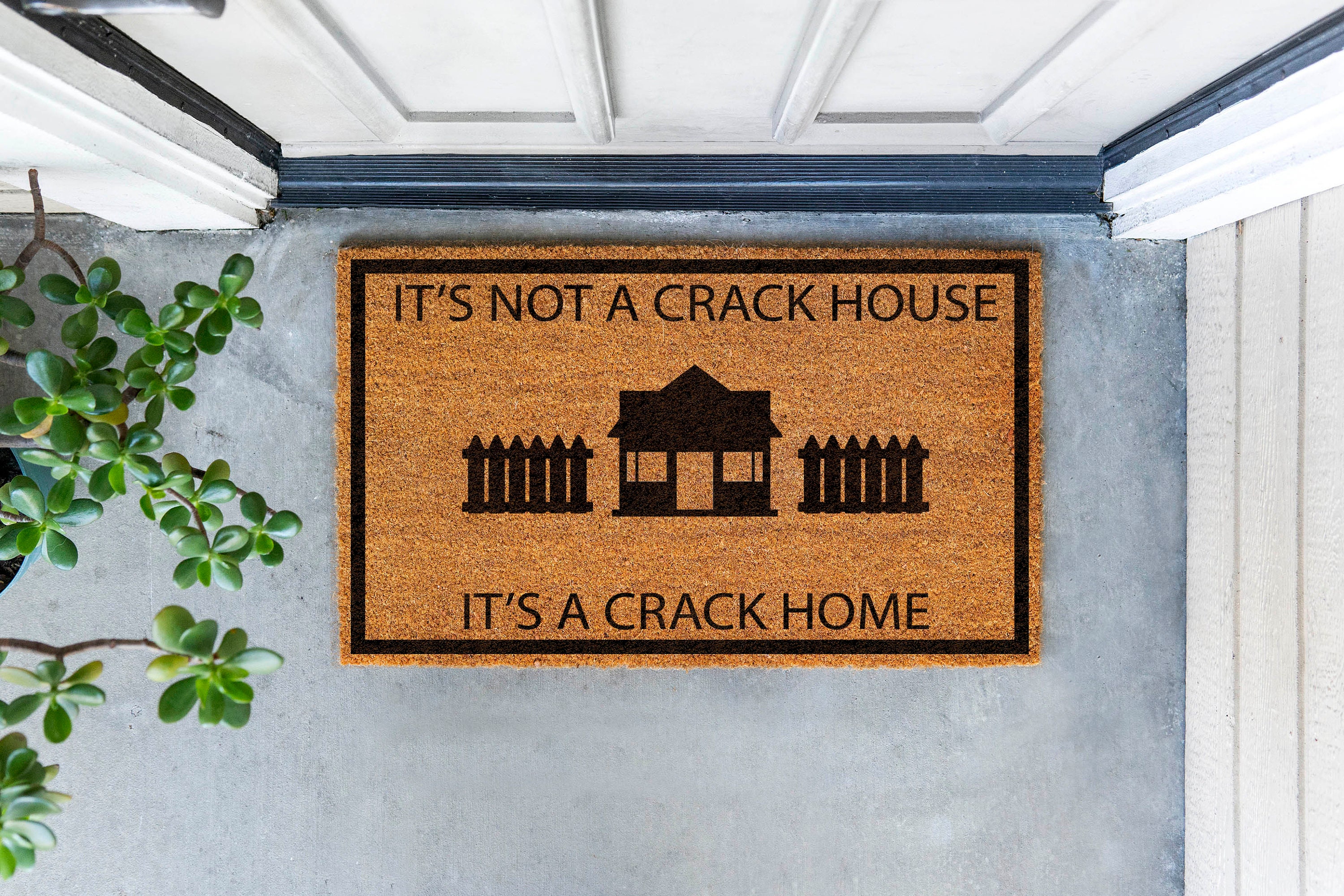 Crack House Pictures