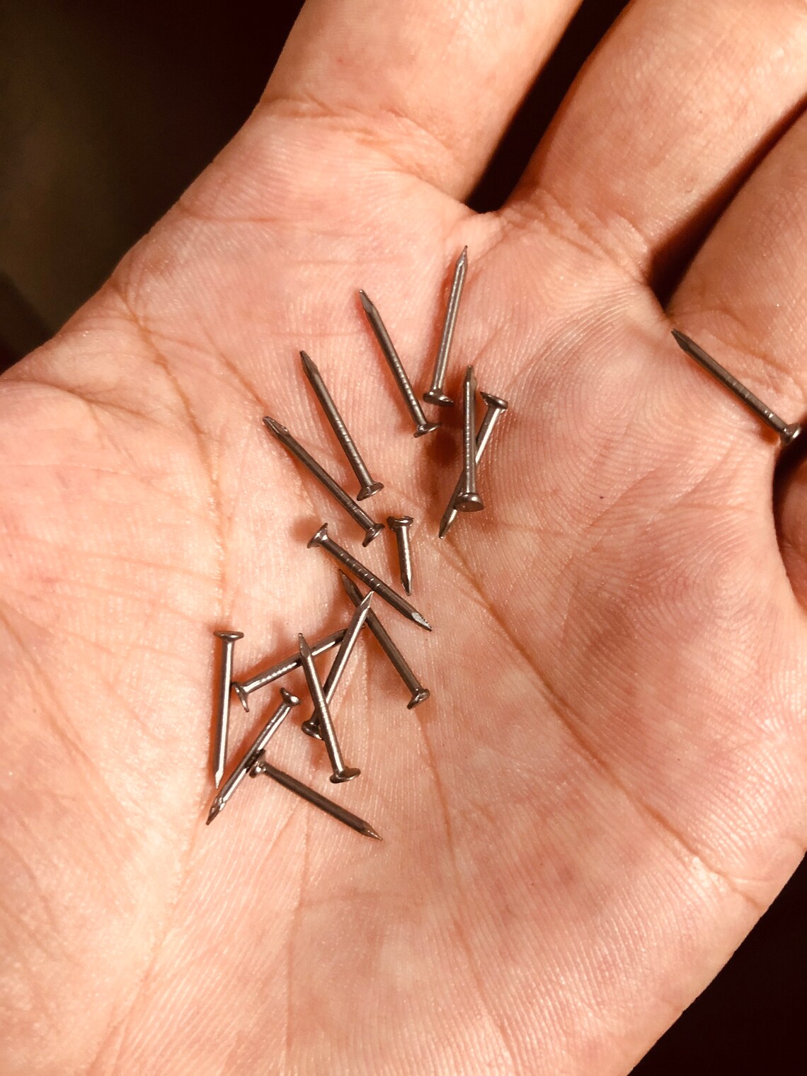Small Tacks Escutcheon Pins Tiny Board Furniture NAILS / Arts and Craft ...