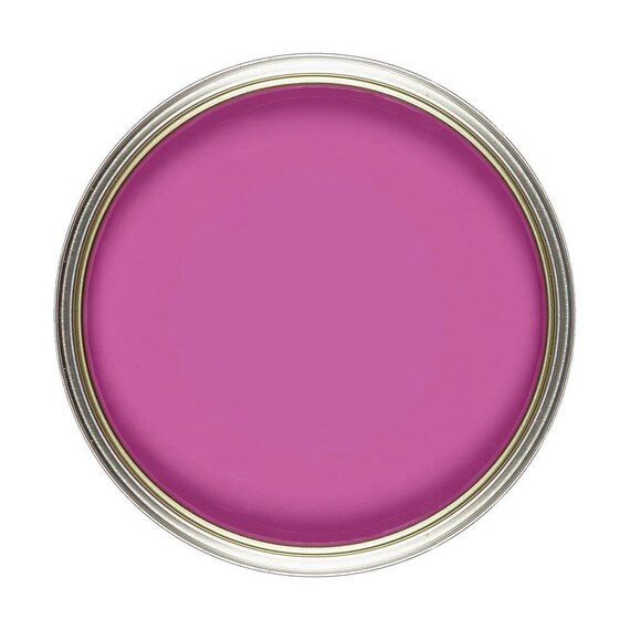 Pink Paint for Wood Metal Wall Crafts Doors Fences - Etsy