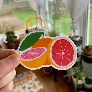 Grapefruit Sticker Water Bottle Sticker Waterproof Sticker Vinyl ...