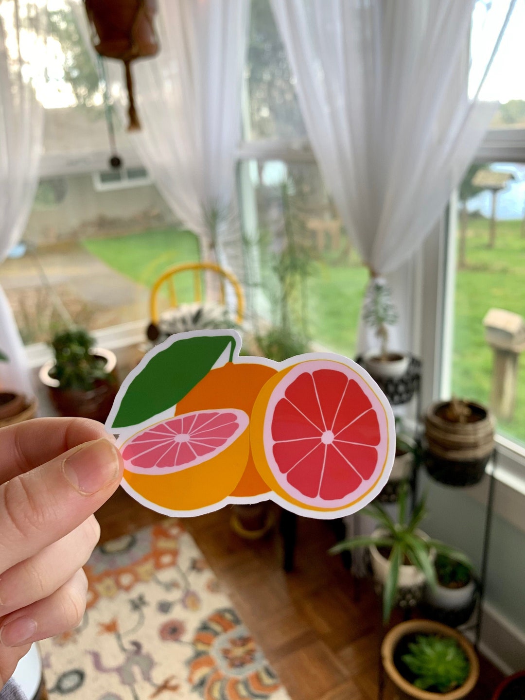 Grapefruit Sticker Water Bottle Sticker Waterproof Sticker Vinyl ...