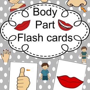 Human Body Part 40 Large Flash Cards, Student Homeschool Activity Kids ...