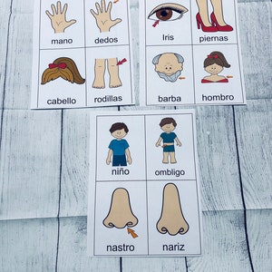 Spanish Body Parts Flashcards Printable Partes Del Cuerpo En Español ...